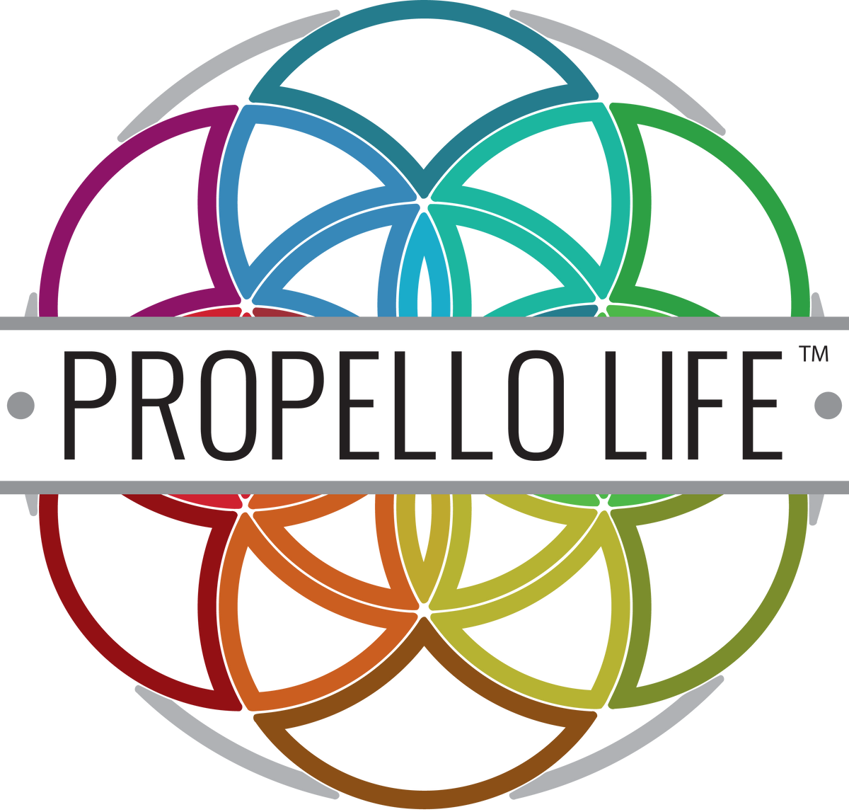 Propello Life Healthy Recipes – Propello Life | The Best Natural ...